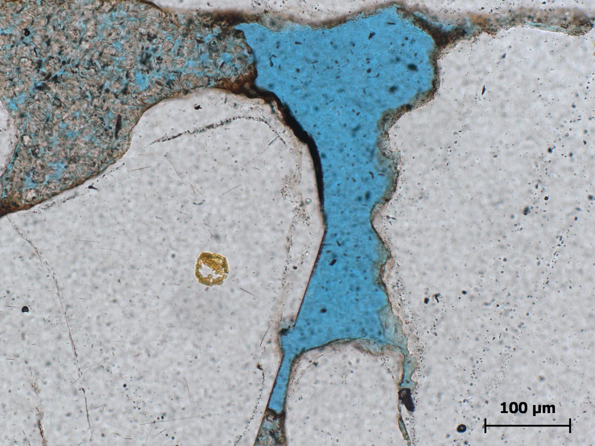 Standard Thin Section Preparation – TPS Enterprises